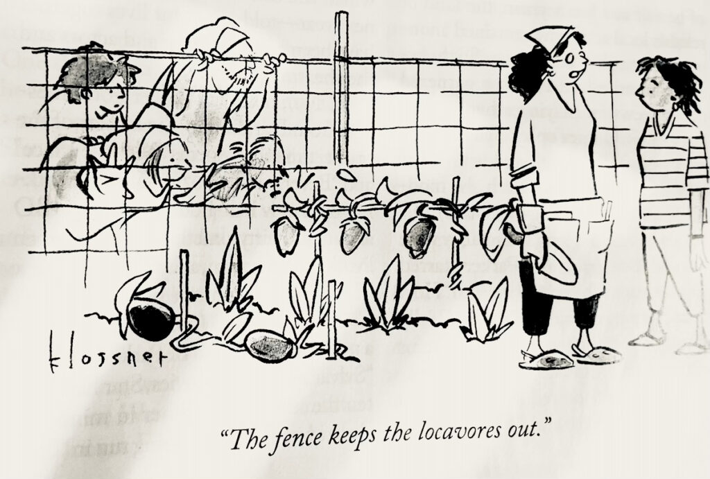 Weekend Cartoons-1 - A Friendly Letter